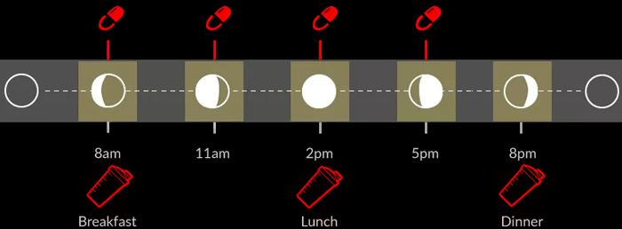 Instant Knockout Complete Shred Scam: Is it an Ordinary Meal?